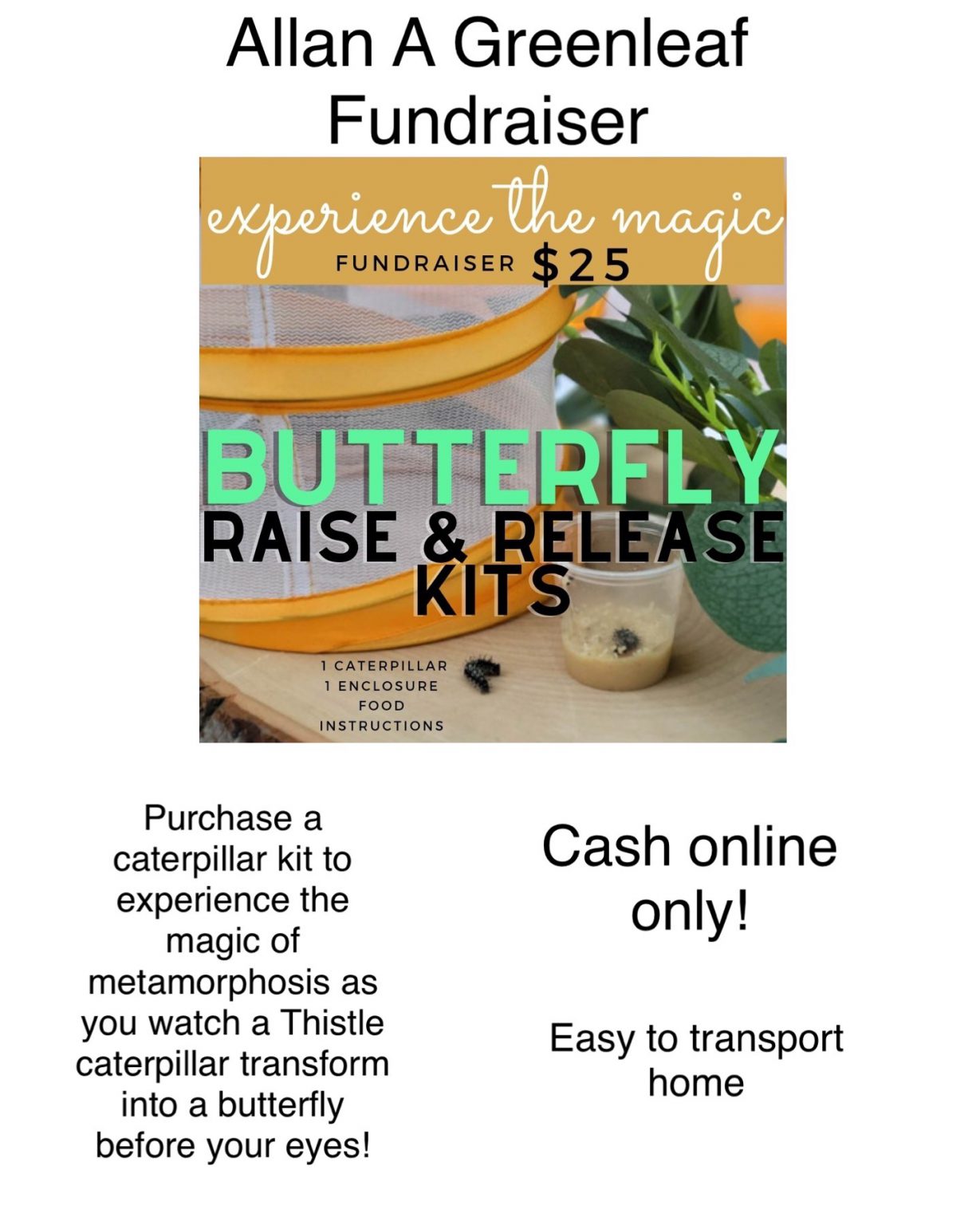 Butterfly Fundraiser | Allan A. Greenleaf Elementary School